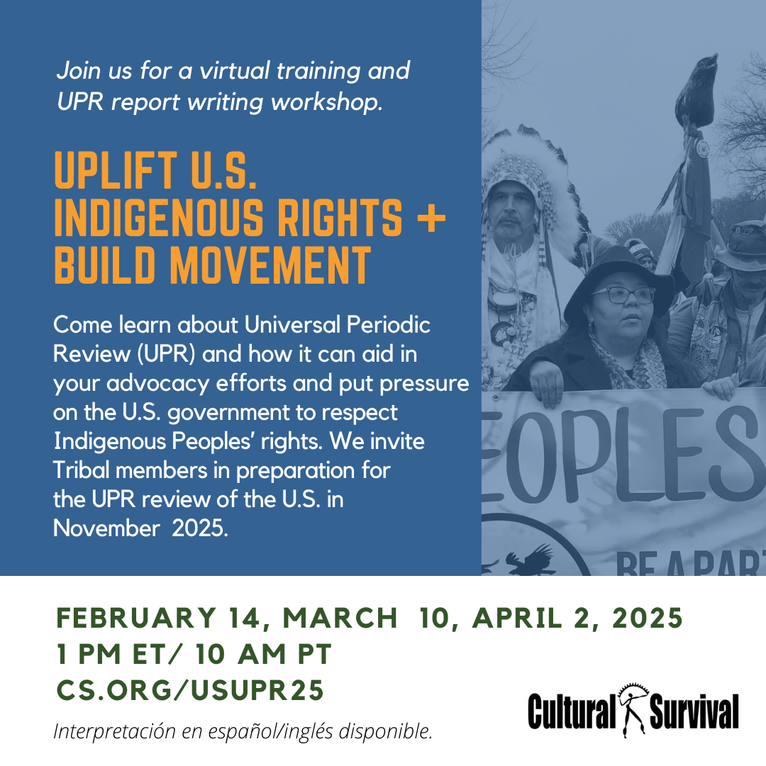Uplift U.S. Indigenous Rights + Build Movement | Cultural Survival